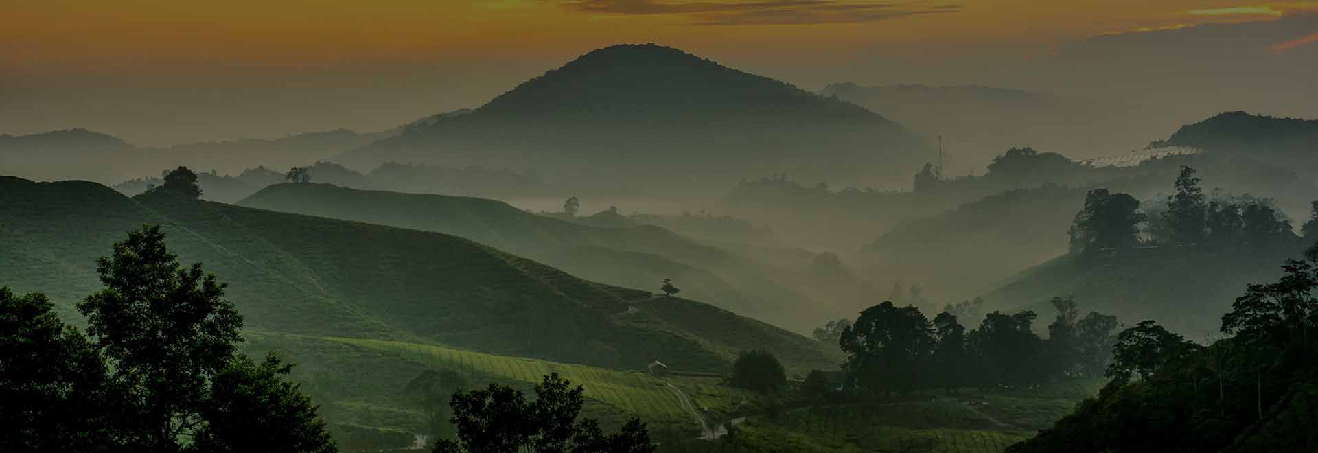 Kom meer te weten over Zenchi - Zenchi - Over ons