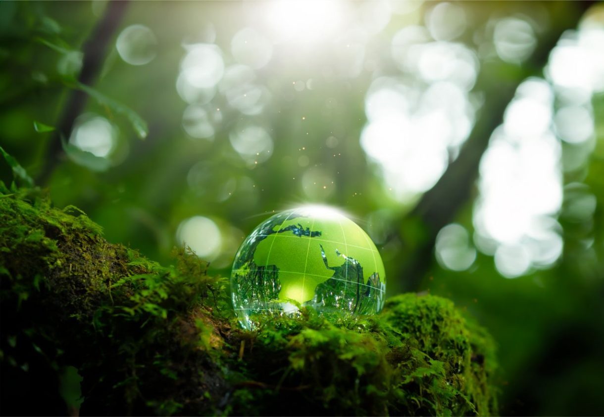 Onze Duurzaamheid - Zenchi